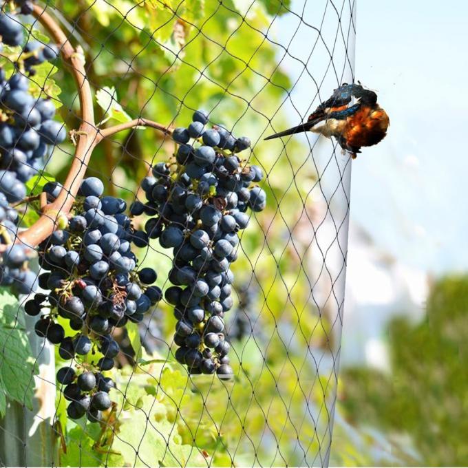 Bird & Aviary Netting for Plants & Gardens
